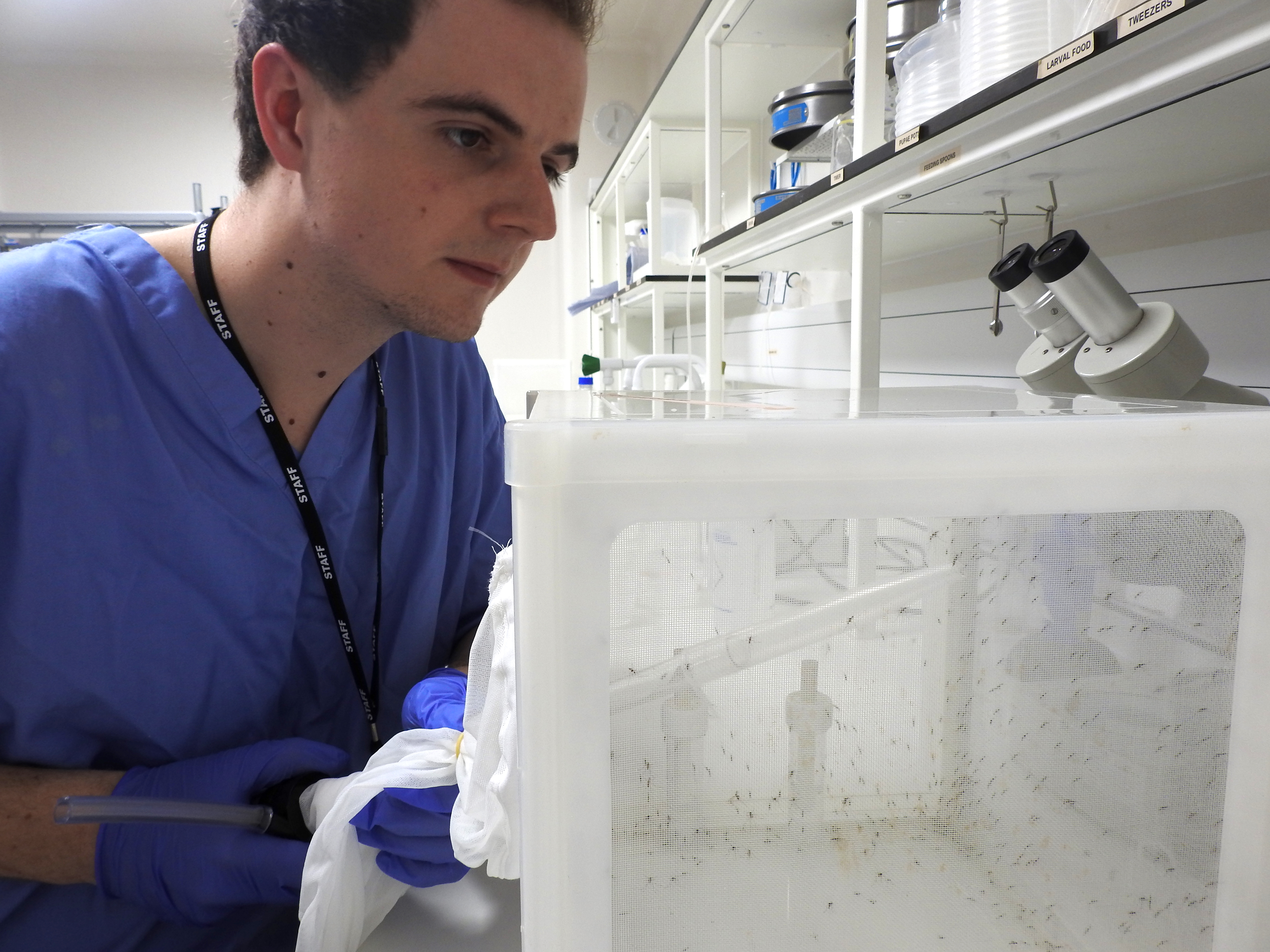 Research at LITE | LITE